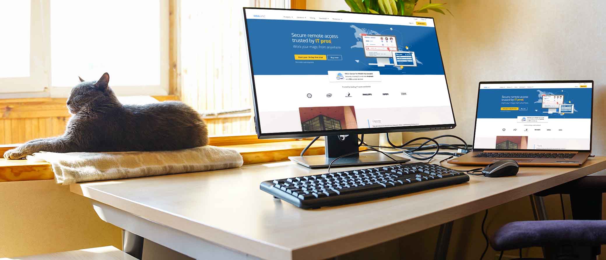 How RealVNC people use VNC Connect: our personal stories - RealVNC® How RealVNC people use VNC Connect: our personal stories - RealVNC®